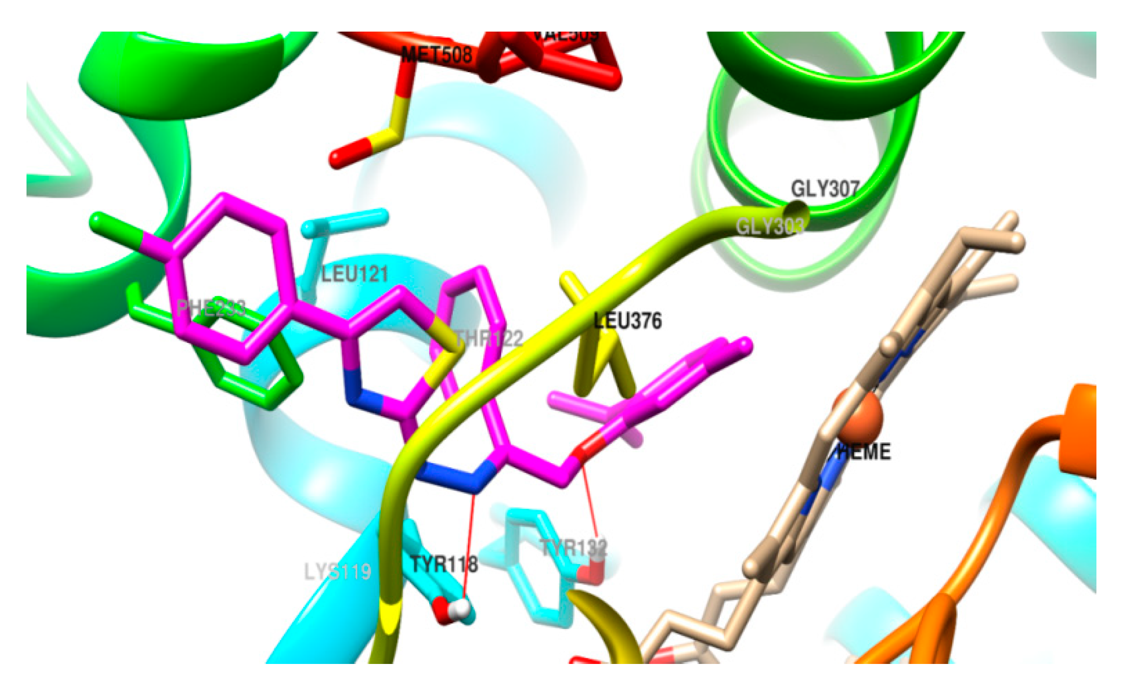 Ruolo biologico dell'albumina: tutto ciò che devi sapere sull'albuminemia